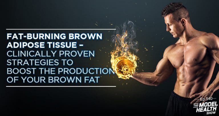 TMHS 540: Fat-Burning Brown Adipose Tissue – Clinically Proven ...