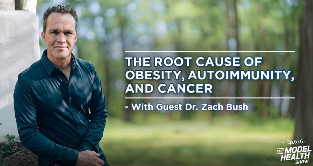 TMHS 676: The Root Cause of Obesity, Autoimmunity, and Cancer – With Dr ...
